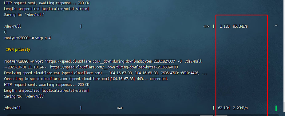 Euserv网速怎么样？